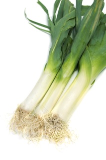 LEEK FRANCE – Asian and tropical vegetable seeds