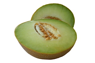 MELON F1 ALIEN – Asian and tropical vegetable seeds