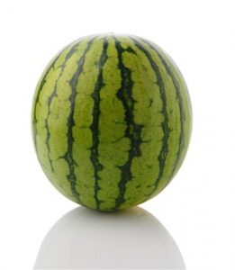 WATERMELON F1 SUGAR DRAGON – Asian and tropical vegetable seeds