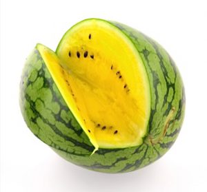 WATERMELON F1 URANUS – Asian and tropical vegetable seeds