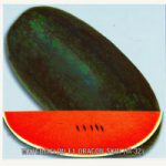 WATERMELON F1 SUGAR DRAGON – Asian and tropical vegetable seeds
