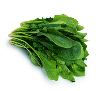 HYBRID SPINACH F1 ROTAN – Asian and tropical vegetable seeds