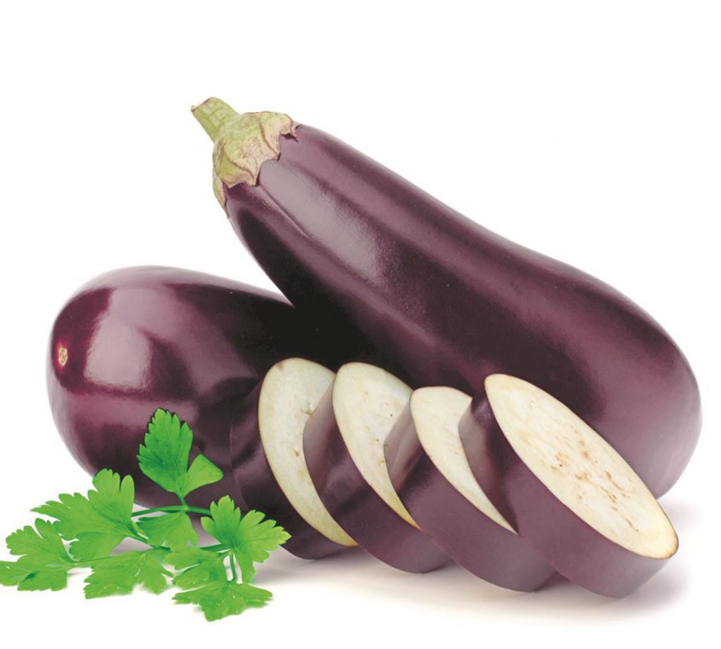 MEKETAN AUBERGINE AFRICAINE – Asian and tropical vegetable seeds