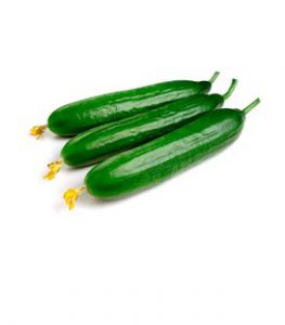 CUCUMBER BEIT ALPHA – Asian and tropical vegetable seeds