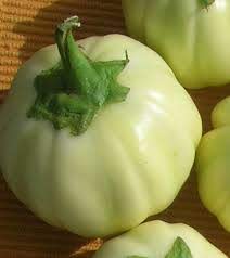 kotobi – Asian and tropical vegetable seeds