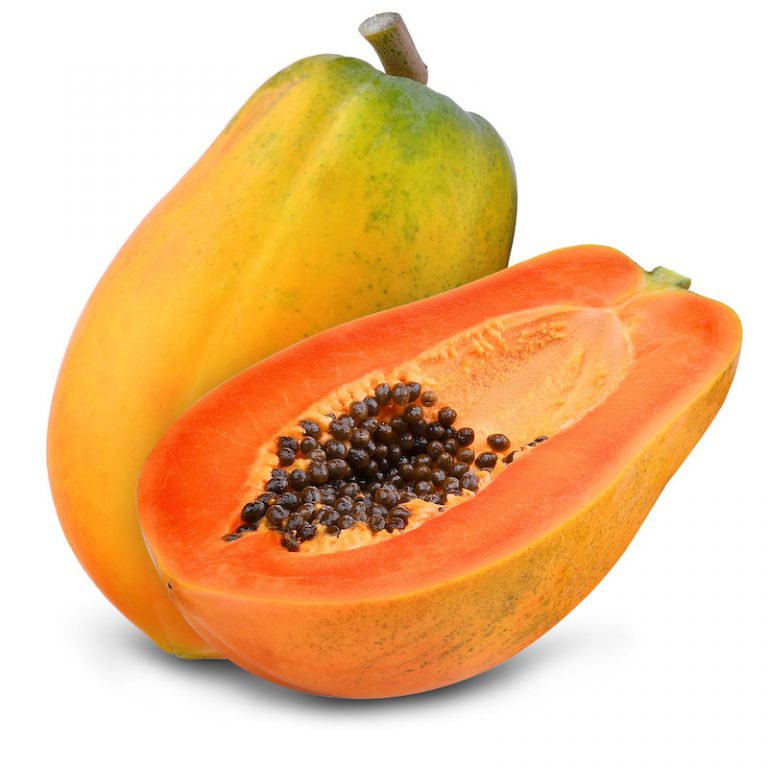 PAPAYA SOLO SUNRISE – Asian and tropical vegetable seeds