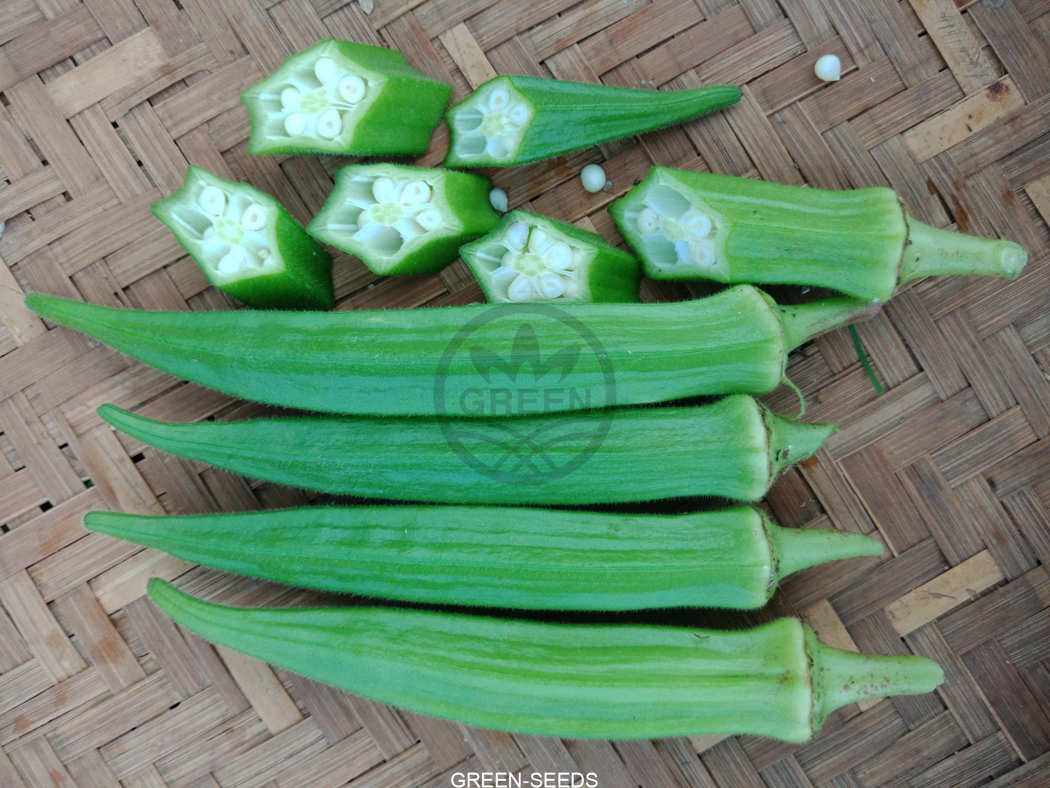 OKRA SAHARI – Asian and tropical vegetable seeds