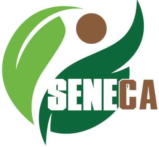 ABOUT US – Asian and tropical vegetable seeds